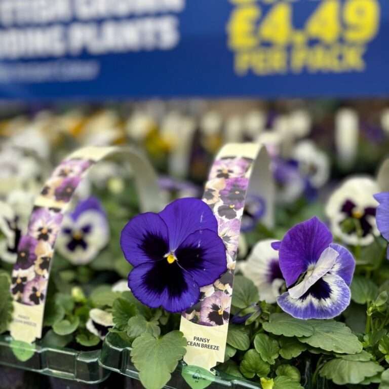 Linlithgow - Caulders Garden Centres