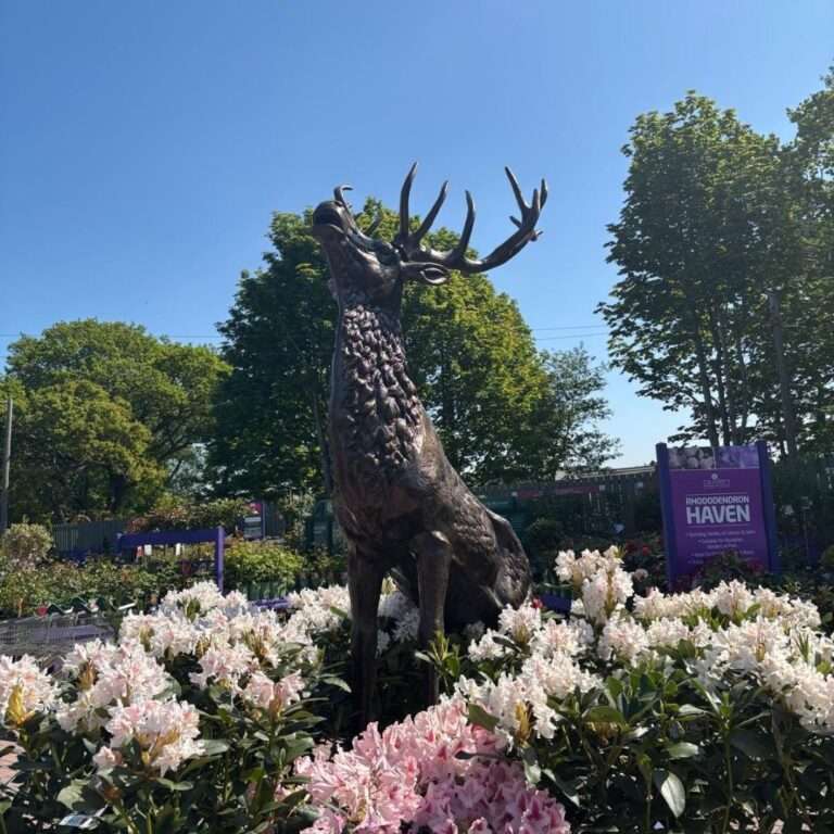 Linlithgow - Caulders Garden Centres