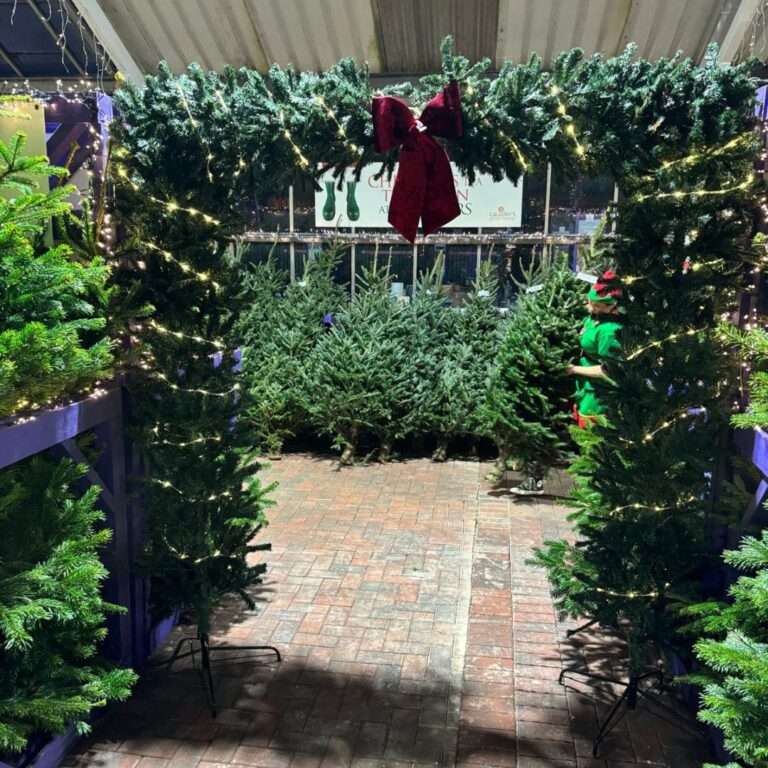 Linlithgow - Caulders Garden Centres