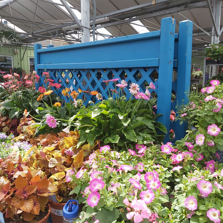 Loch Lomond - Caulders Garden Centres